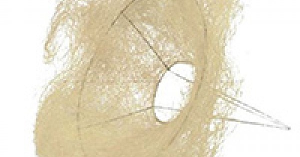 Sizalio-plausas-ir-jo-gaminiai-karksas-puokstei-siulai-floristikos ...